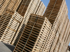 .::Pallets Service de México::.